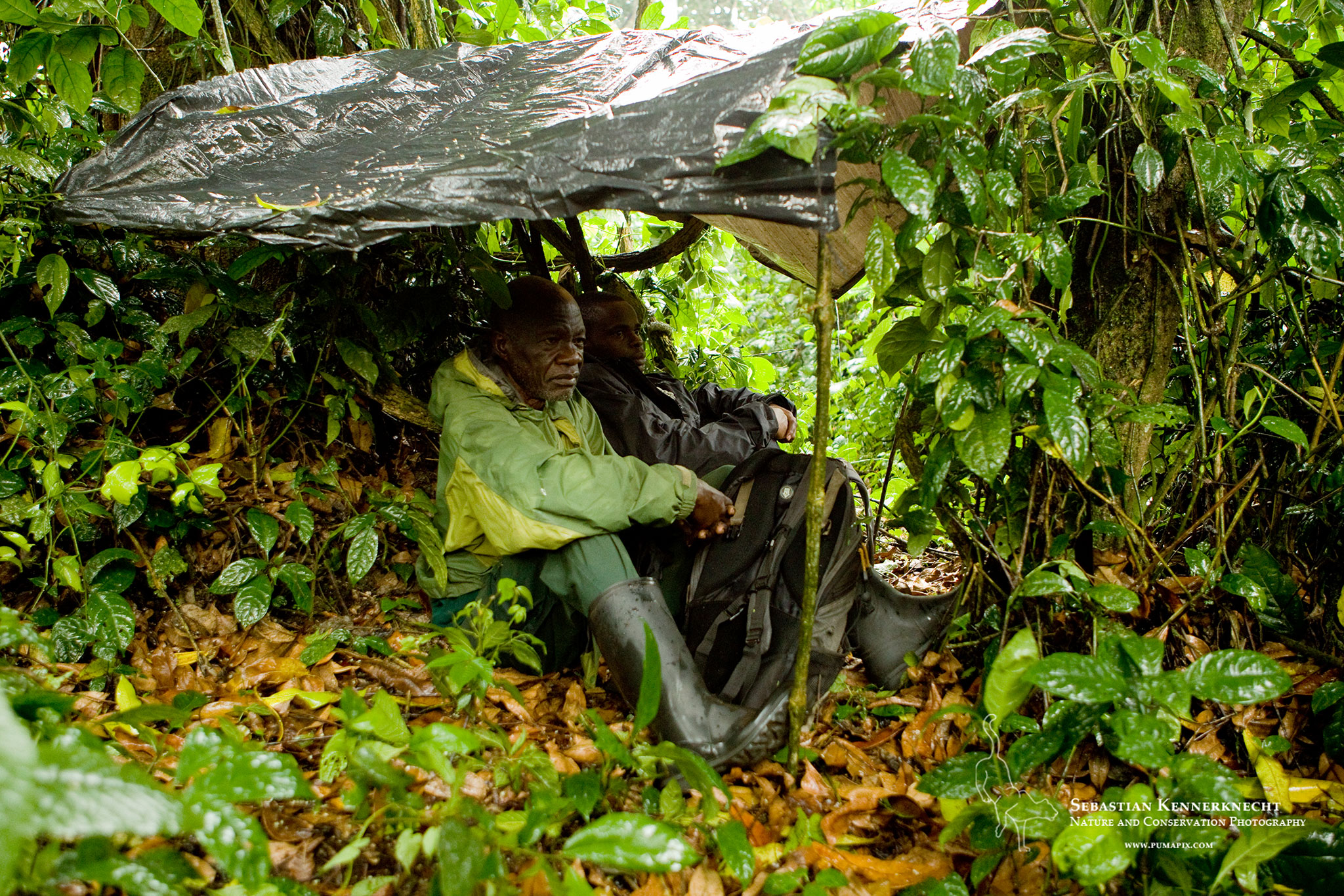 American Society of Primatologists | Kibale snare removal program