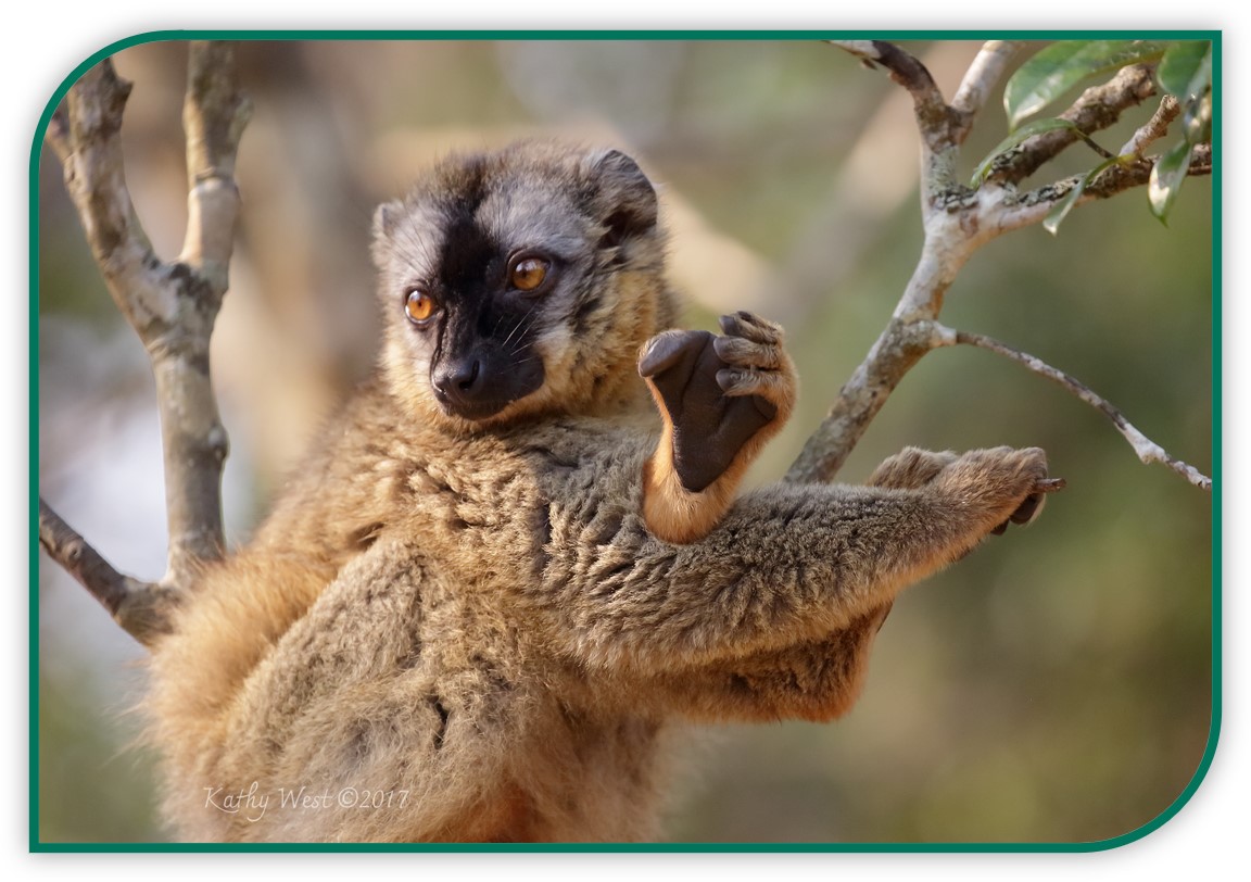 Kyes Award for Excellence in Educational Outreach - American Society of ...